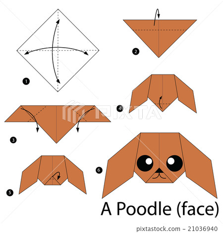 origami a Poodle. - Stock Illustration [21036940] - PIXTA