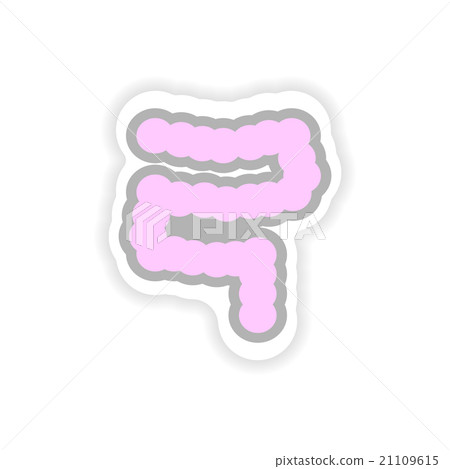 paper sticker on white background human intestine - Stock Illustration ...