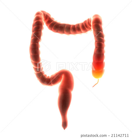 Blood Guts And Texture