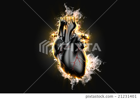 Flaming human heart. 3d illustration. - Stock Illustration [21231401 ...