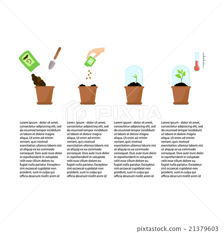 Timeline infographic of planting tree process - Stock Illustration ...