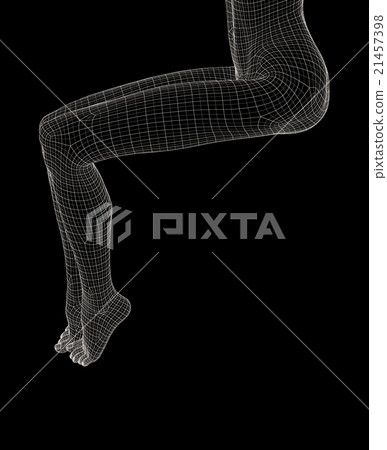 Women's body wire frame perming3DCG... - Stock Illustration [21457398 ...