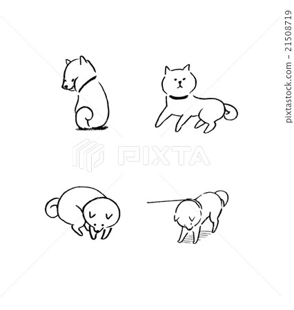 Shiba Inu line drawing - Stock Illustration [21508719] - PIXTA