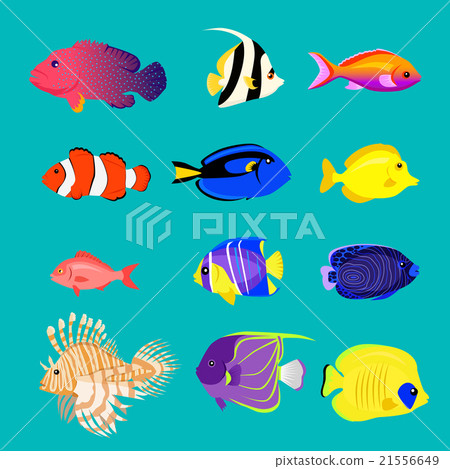 Set of Sea Fish Color Design Flat - Stock Illustration [21556649] - PIXTA