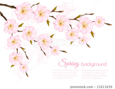 Spring background with a sakura branch. Vector. - Stock Illustration ...
