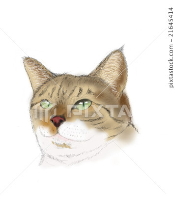 Whitehead cat - Stock Illustration [21645414] - PIXTA