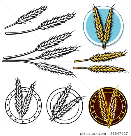 grain icon - Stock Illustration [21647967] - PIXTA