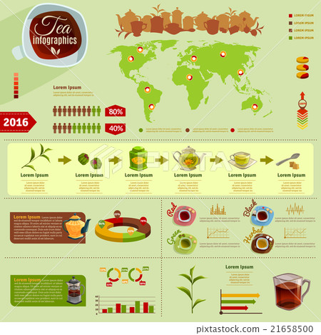 Tea Infographics - Stock Illustration [21658500] - PIXTA