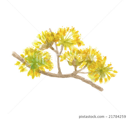 Sanshui - Stock Illustration [21784259] - PIXTA