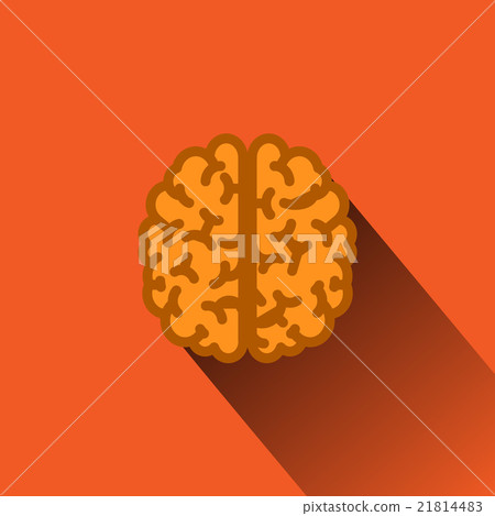 Flat Human Brain with Long Shadow. - Stock Illustration [21814483] - PIXTA