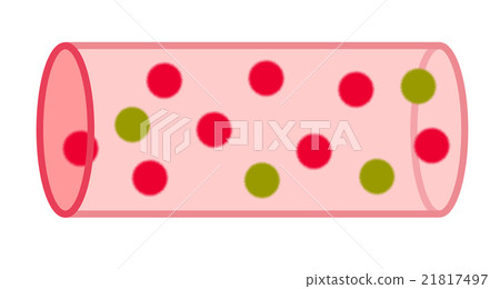 血管-插圖素材 [21817497] - PIXTA圖庫