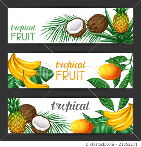 Banners with tropical fruits and leaves. Design - Stock Illustration ...