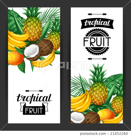 Banners with tropical fruits and leaves. Design - Stock Illustration ...