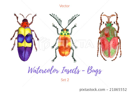 Set of hand painted watercolorbugs, vector. - Stock Illustration ...