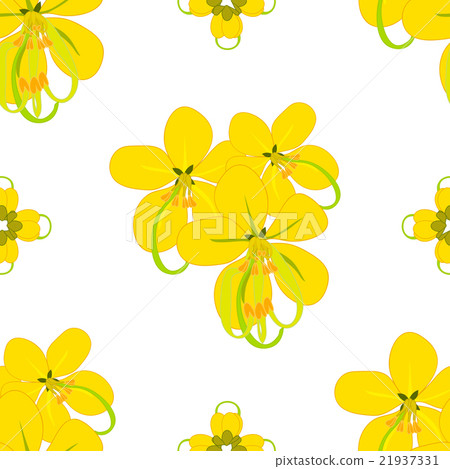 Cassia Fistula - Gloden Shower Flower Background2 - Stock Illustration ...