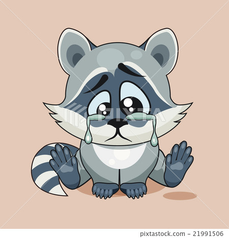 Sad Raccoon cub crying - Stock Illustration [21991506] - PIXTA