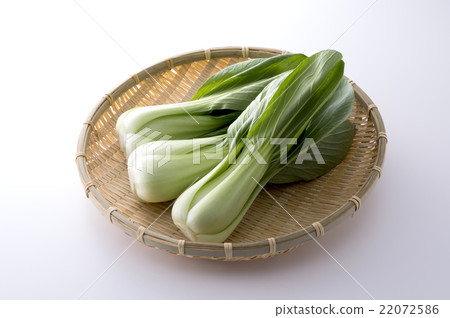 Zaruko雞肉與蔬菜-照片素材（圖片） [22072586] - PIXTA圖庫