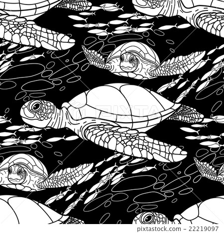 Hawksbill sea turtle pattern-插圖素材 [22219097] - PIXTA圖庫