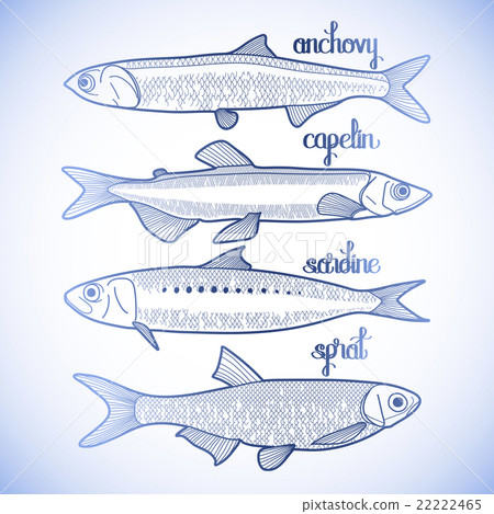 Graphic small fish collection - Stock Illustration [22222465] - PIXTA
