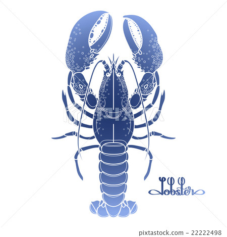 Graphic vector lobster - Stock Illustration [22222498] - PIXTA