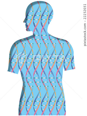 Double spiral structure pattern in human body... - Stock Illustration ...