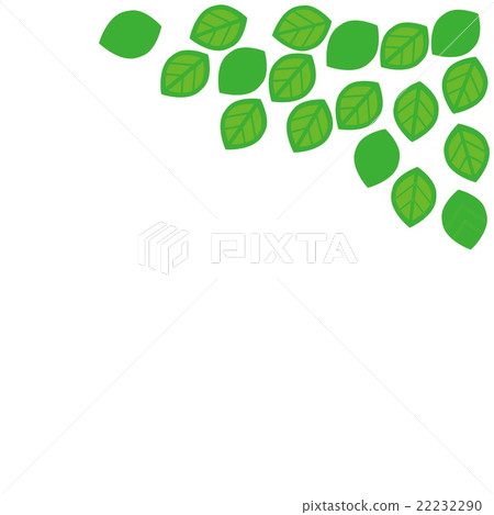 leaf - Stock Illustration [22232290] - PIXTA