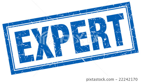 expert blue grunge square stamp on white - Stock Illustration [22242170 ...