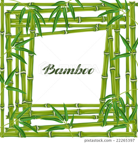 Frame with bamboo plants and leaves. Design for - Stock Illustration ...