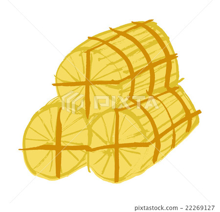 Rice straw - Stock Illustration [22269127] - PIXTA