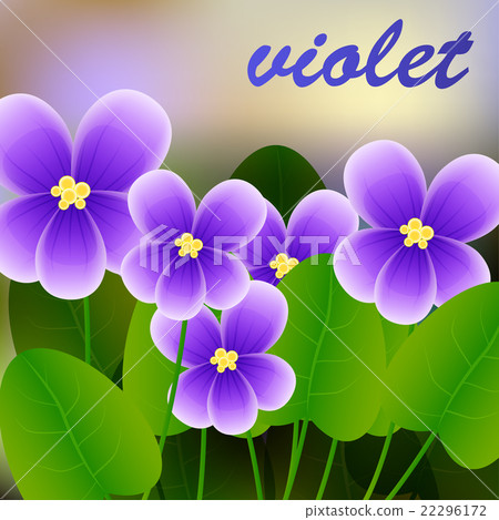 Spring background with blossom brunch of violet fl - Stock Illustration ...
