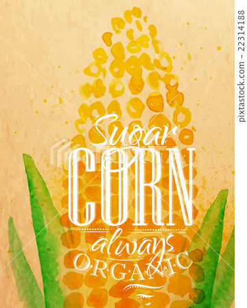 Poster corn - Stock Illustration [22314188] - PIXTA