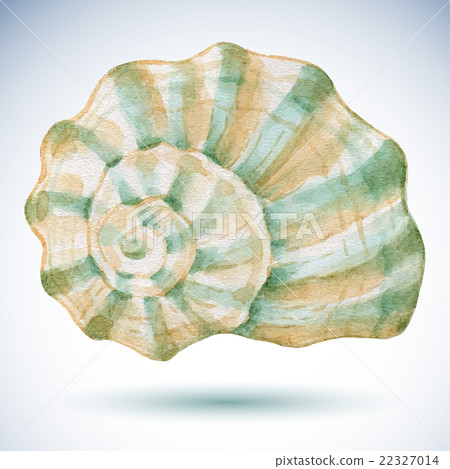 Watercolor sea shell. - Stock Illustration [22327014] - PIXTA