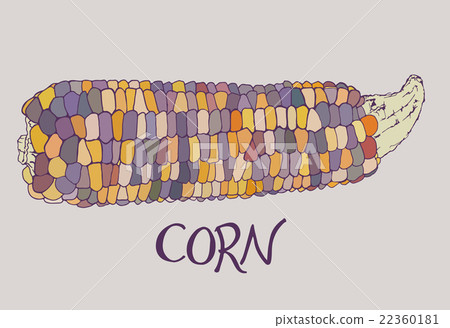 Indian corn icon. Vector illustration. - Stock Illustration [22360181 ...