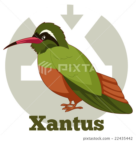 ABC Cartoon Xantus - Stock Illustration [22435442] - PIXTA