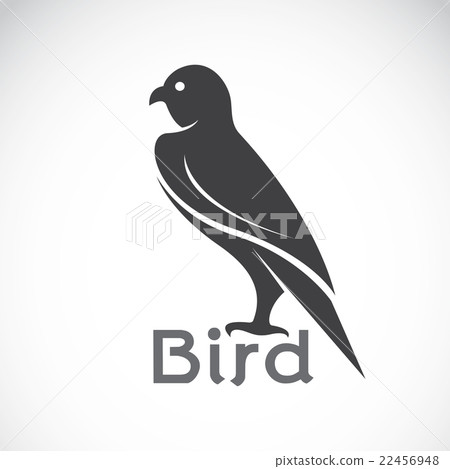 Vector image of an bird design - Stock Illustration [22456948] - PIXTA