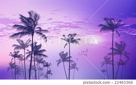 Exotic tropical palm trees at sunset - Stock Illustration [22463368 ...