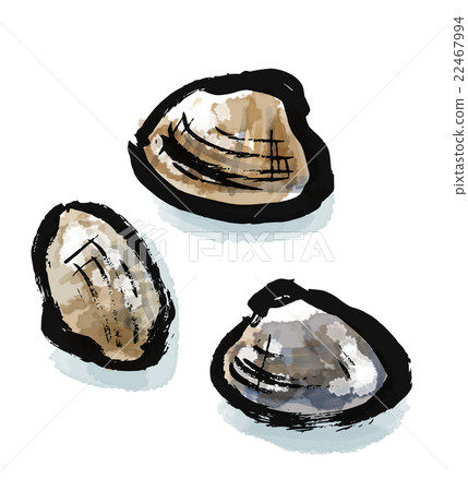 Brush drawn food clams - Stock Illustration [22467994] - PIXTA