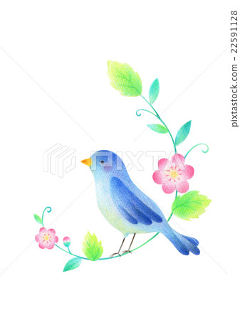 Blue birds and flowers - Stock Illustration [22591128] - PIXTA