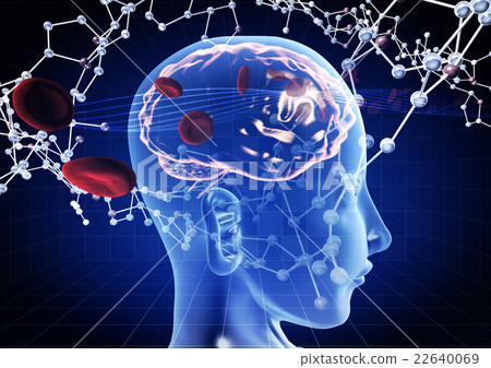 Brain and red blood cells and molecular model - Stock Illustration ...