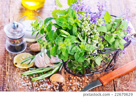 fresh herbal - Stock Photo [22670629] - PIXTA