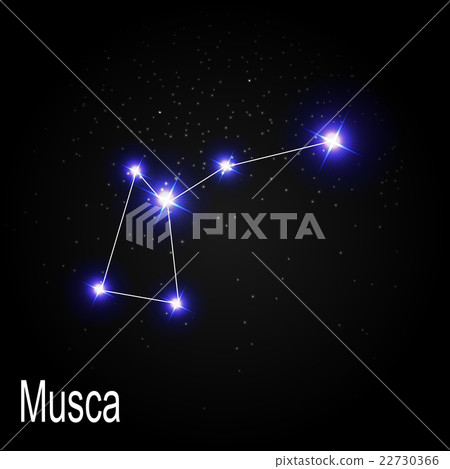 Musca Constellation with Beautiful Bright Stars on - Stock Illustration ...