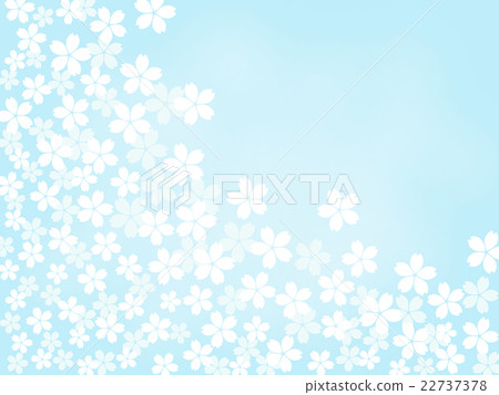 Cherry blossom pattern - Stock Illustration [22737378] - PIXTA