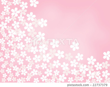 櫻花圖案-插圖素材 [22737379] - PIXTA圖庫