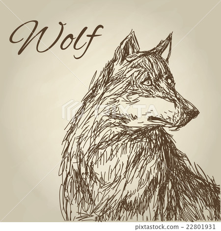 Wolf design. Animal concept.Wildlife animal - Stock Illustration ...