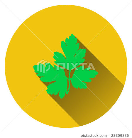 Parsley icon - Stock Illustration [22809886] - PIXTA