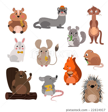 Cartoon rodents animals vector set. - Stock Illustration [22814917] - PIXTA