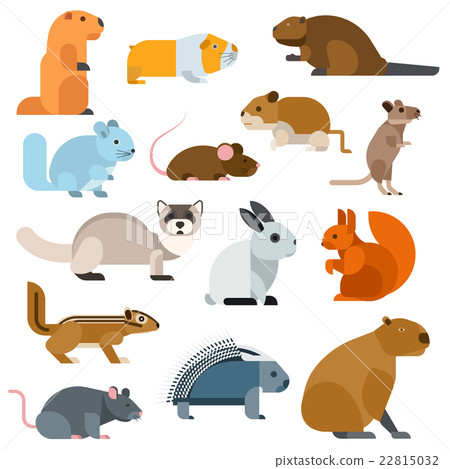 Cartoon rodents animals vector set. - Stock Illustration [22815032] - PIXTA