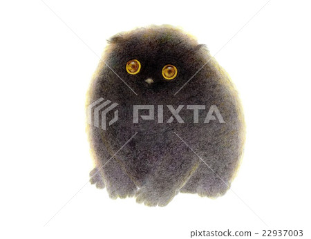 It is a cat - Stock Illustration [22937003] - PIXTA