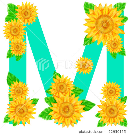 Sunflower _ Alphabet _ M - Stock Illustration [22950135] - PIXTA