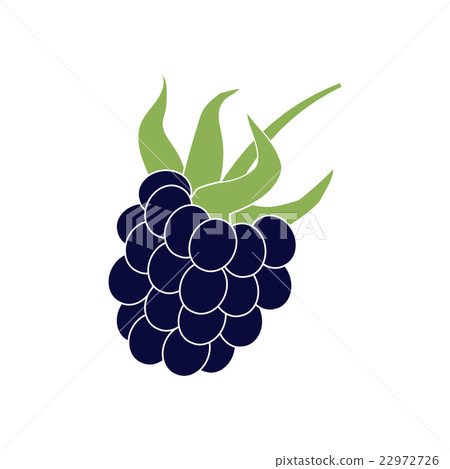Blackberry Berry Icon - Stock Illustration [22972726] - PIXTA